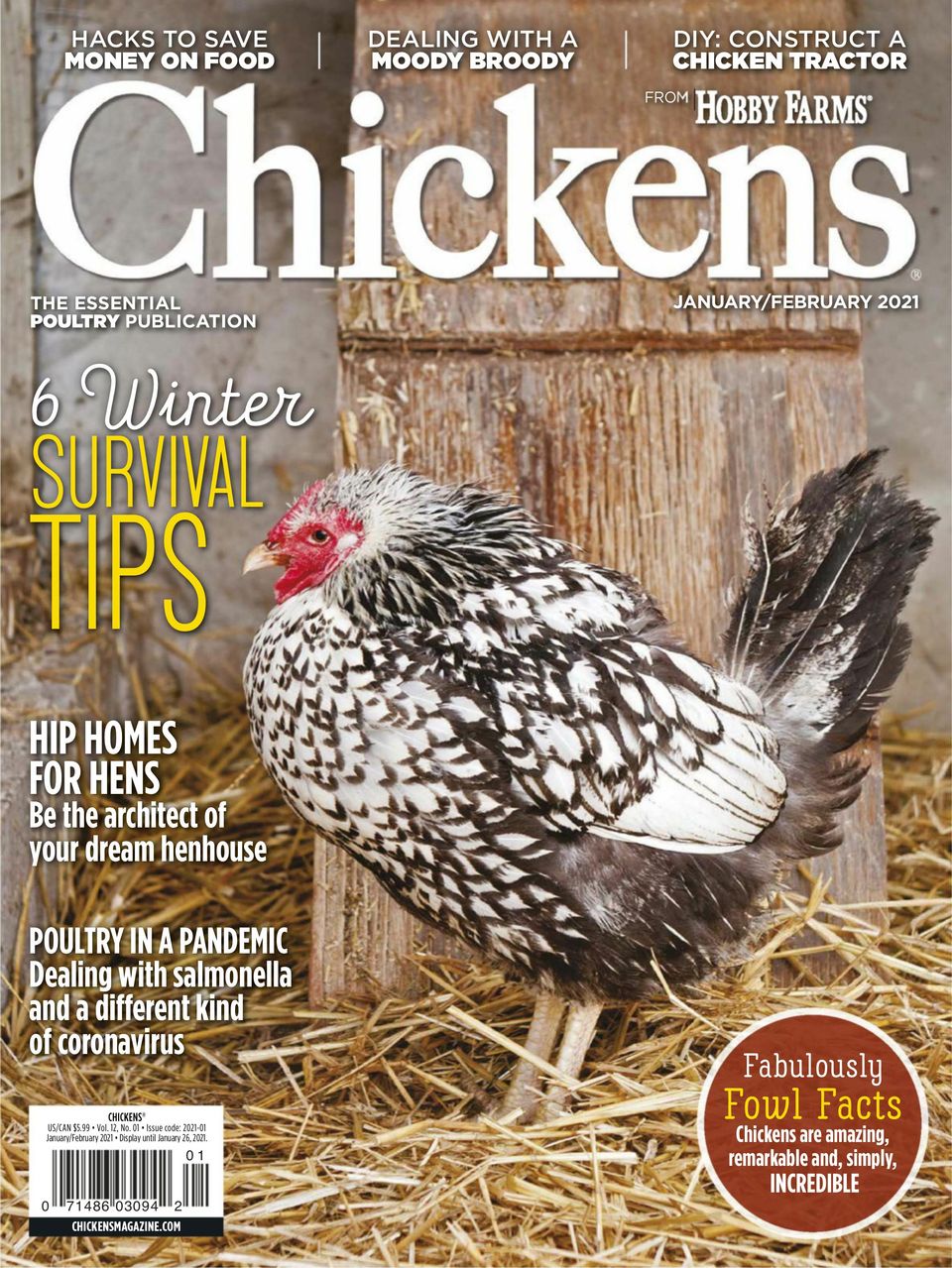 Get digital access to Chickens - January - February 2021 issue | Magzter.com