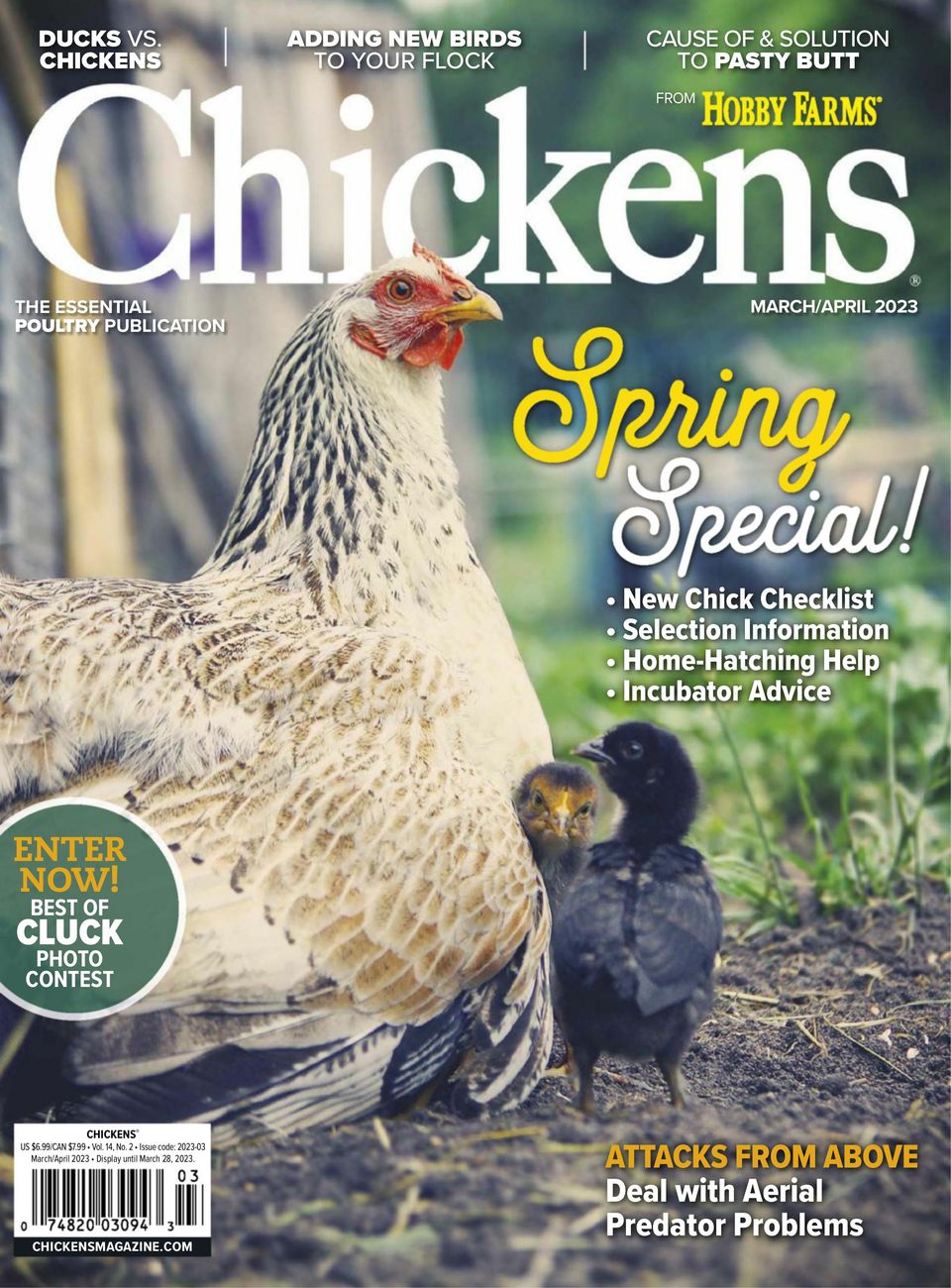 Chickens Magazine - Get your Digital Subscription