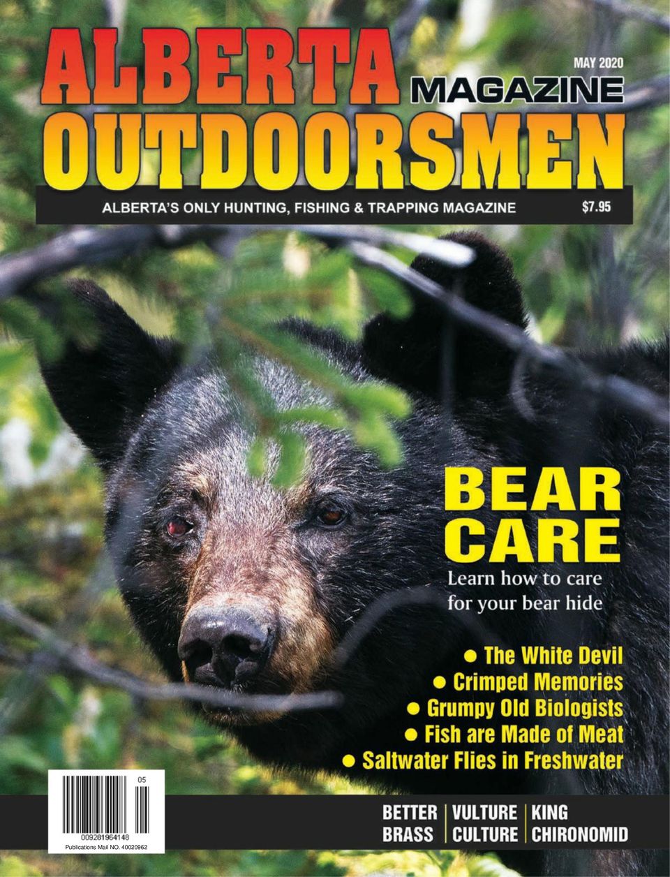 Accent-May 2020 Magazine - Get your Digital Subscription