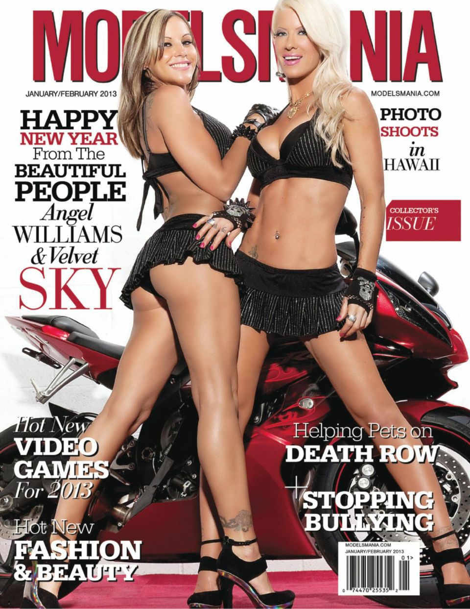 Get digital access to MODELSMANIA - January - February 2013 issue | Magzter.com
