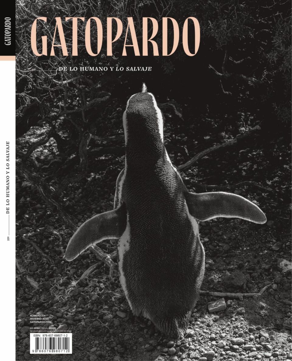 Get digital access to Gatopardo Magazine | Magzter.com