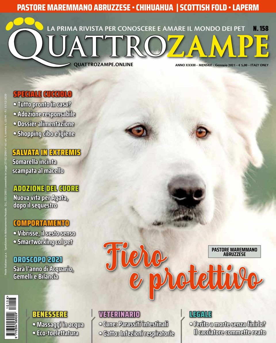 Get digital access to Colorful Magazine - January 2021 issue | Magzter.com