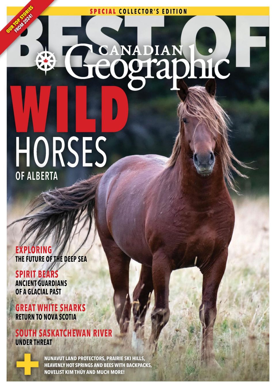 Get digital access to Best of Canadian Geographic Magazine | Magzter.com