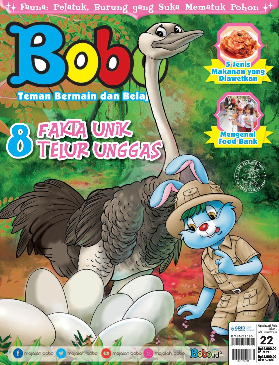 Bobo Magazine - Get your Digital Subscription