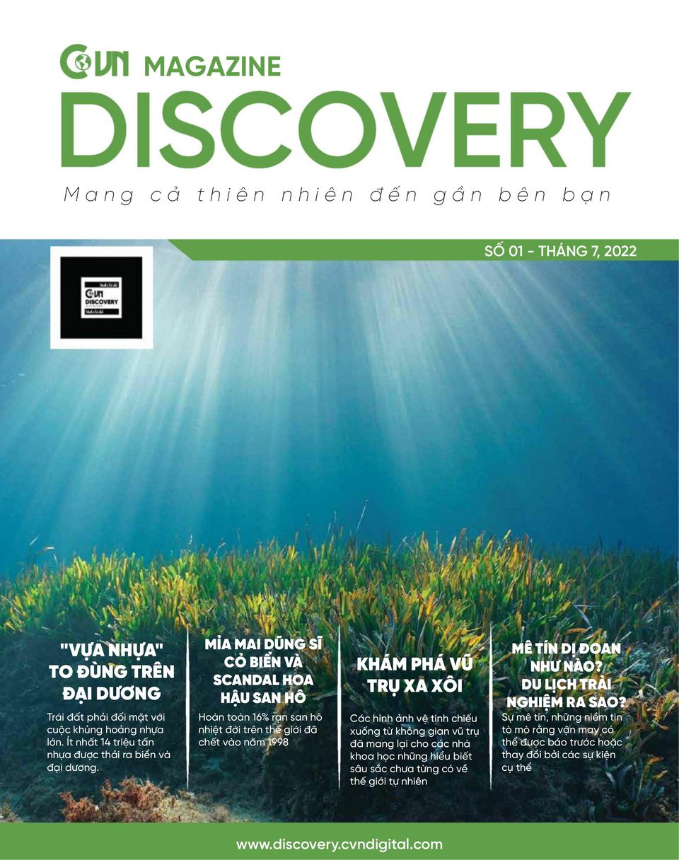 Get digital access to CVN DISCOVERY - Issue 07, 2022 issue | Magzter.com