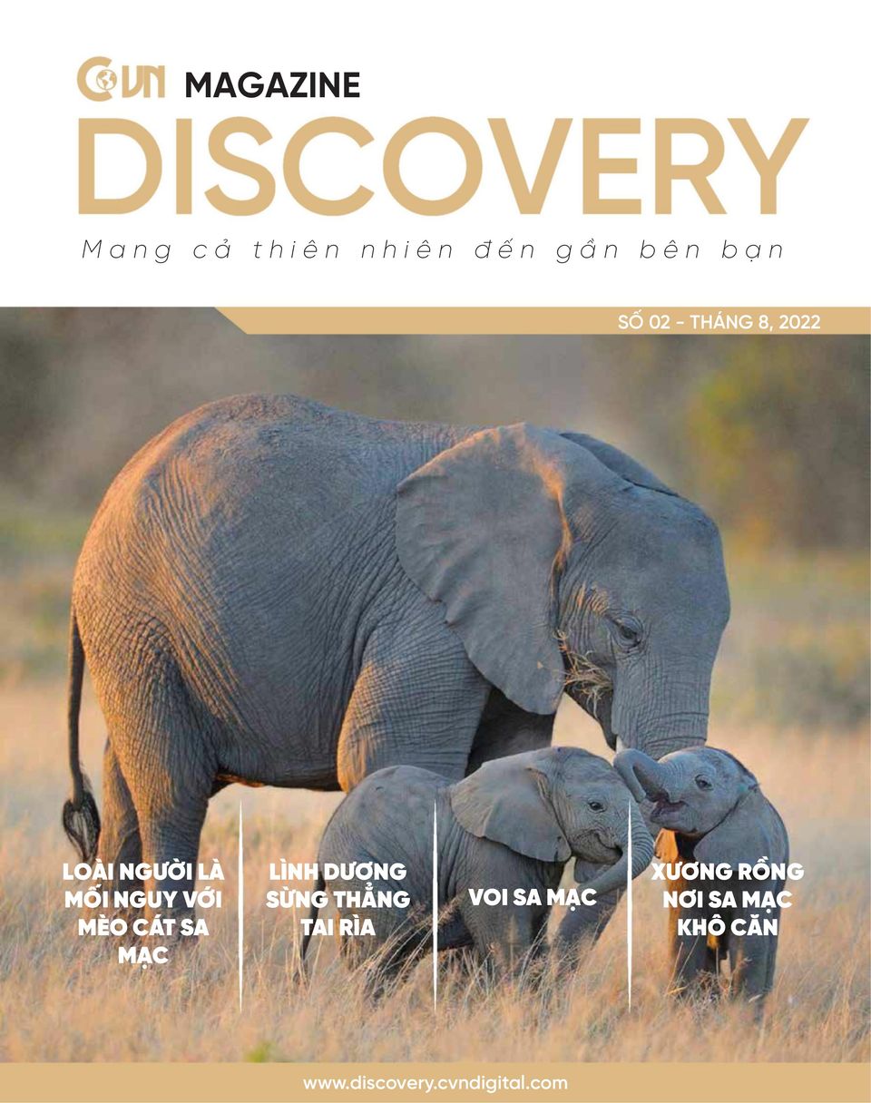 Get digital access to CVN DISCOVERY Magazine | Magzter.com