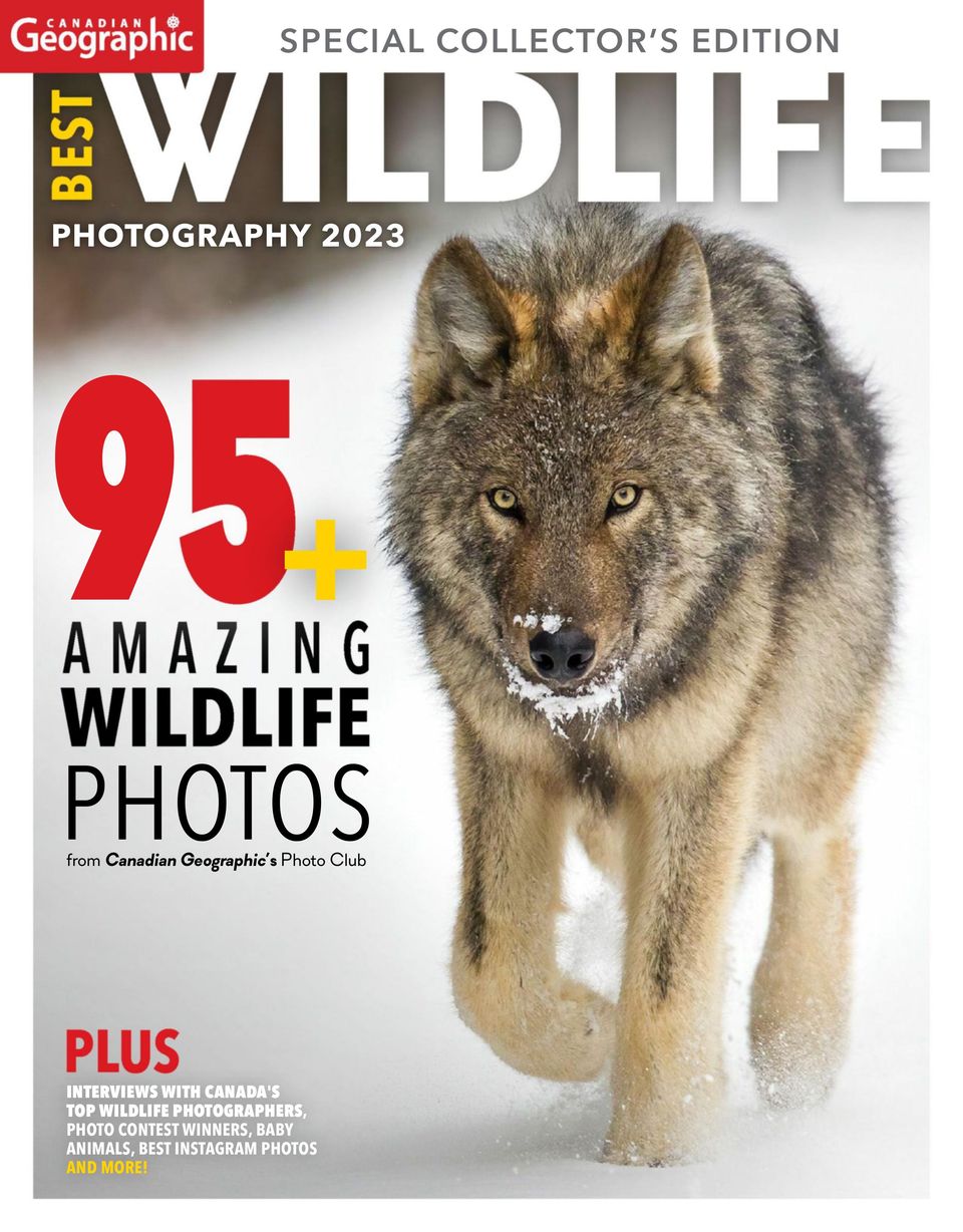 Get digital access to Canadian Geographic Best of Wildlife Photography ...