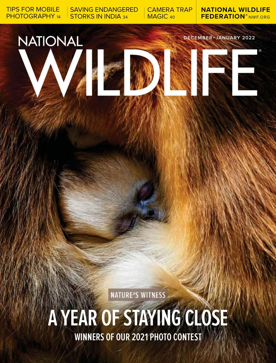 National Wildlife-December 2021 - January 2022 Magazine