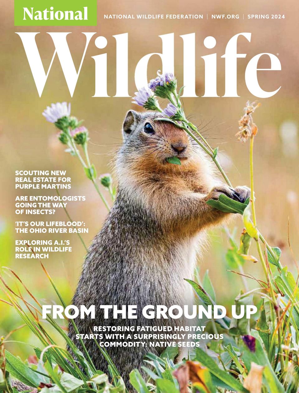 National Wildlife Magazine - Get your Digital Subscription