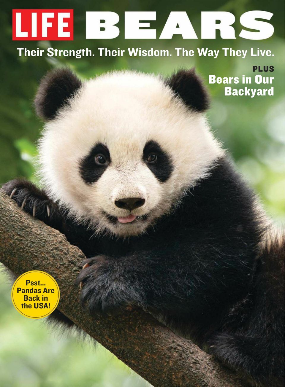Get digital access to LIFE : BEARS Magazine | Magzter.com
