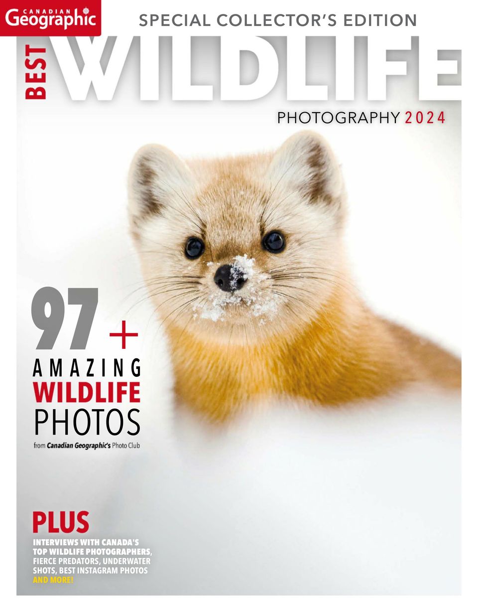 Get digital access to Canadian Geographic Best of Wildlife Photography ...