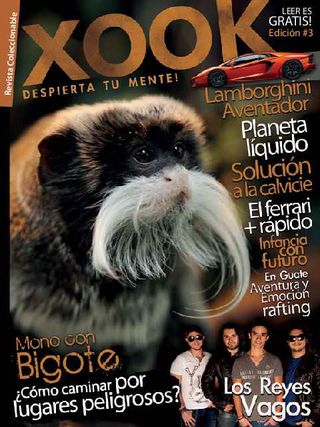 XOOK Magazine XOOK #2 issue – Get your digital copy